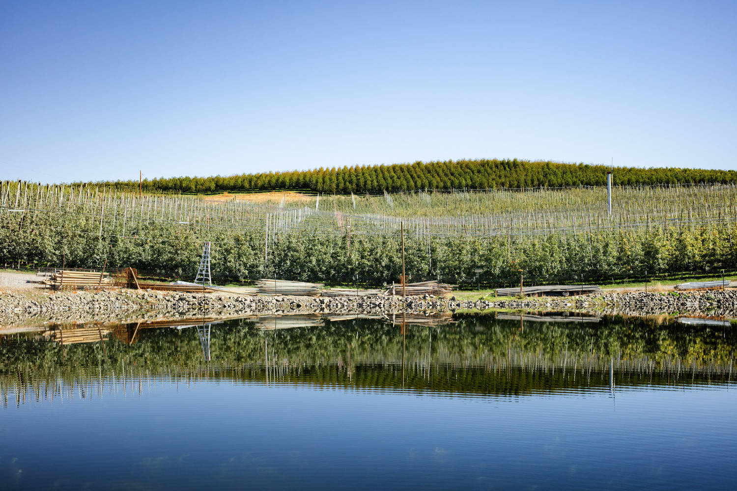 Farming with Borton Fruit - Borton Fruit