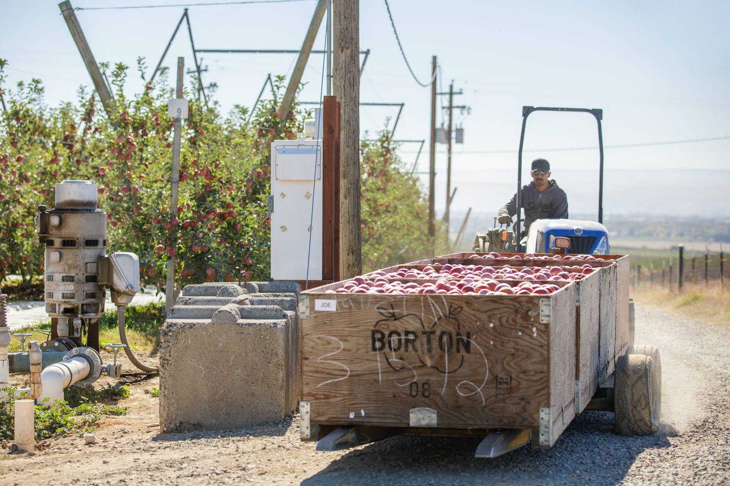 Farming with Borton Fruit - Borton Fruit